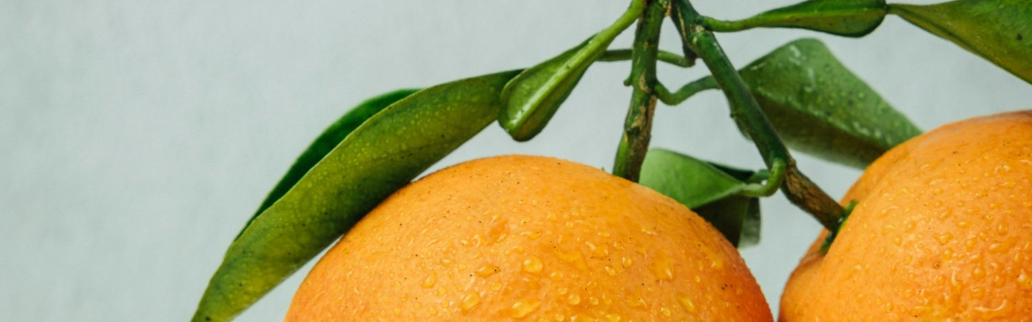 Next-day Delivery | Wholesale Produce Market | Fruit and Vegetables ...